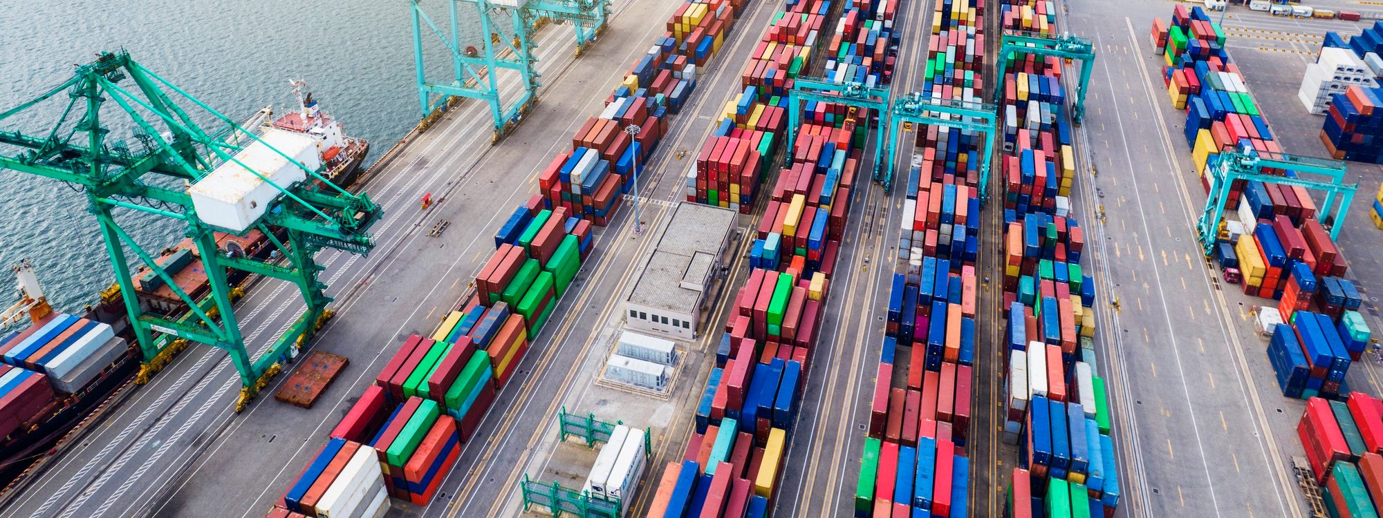 Export Countries – Lidya Walnuts